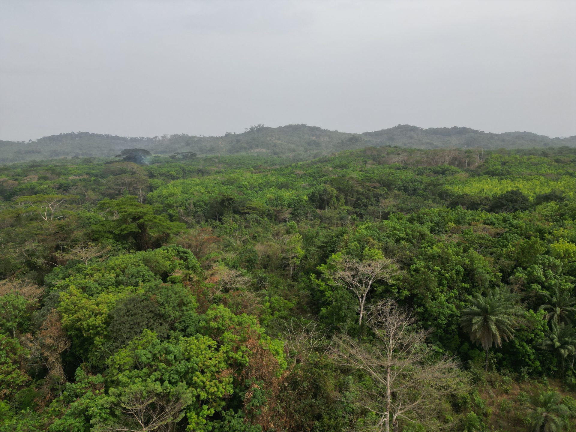 Bong Clan Desires Deed for Ancestral Land - The DayLight