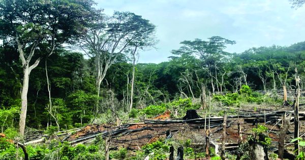 Community, Family Fight over Forest in Lofa